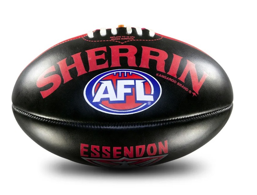 Essendon Bombers AFL Sherrin Team Logo Ball | Size 2 - SHERRIN