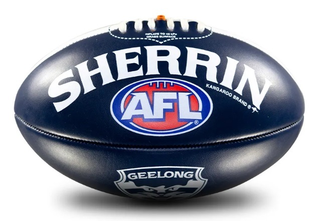 Geelong Cats AFL Sherrin Team Logo Ball | Size 2 - SHERRIN