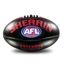 Essendon Bombers AFL Sherrin Team Logo Ball | Size 2 - SHERRIN
