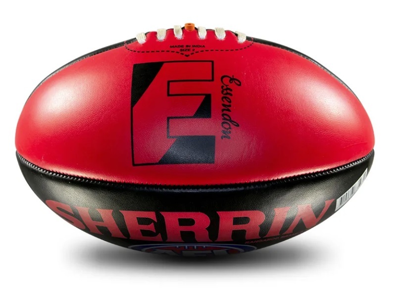 Essendon Bombers AFL Sherrin Team Logo Ball | Size 2 - SHERRIN