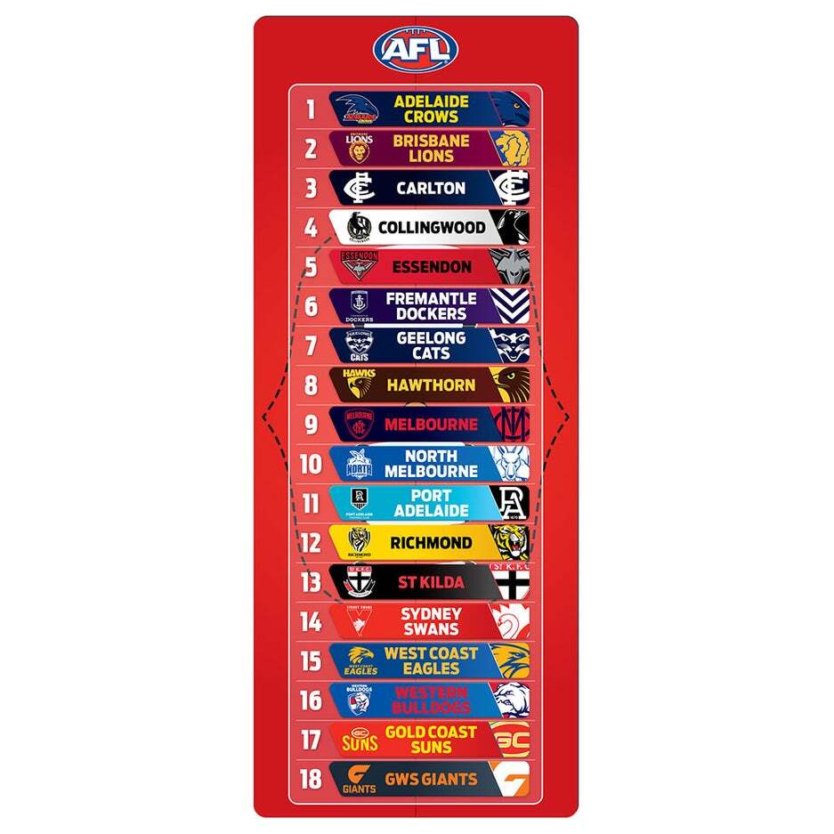 AFL Mini Magnetic Ladder